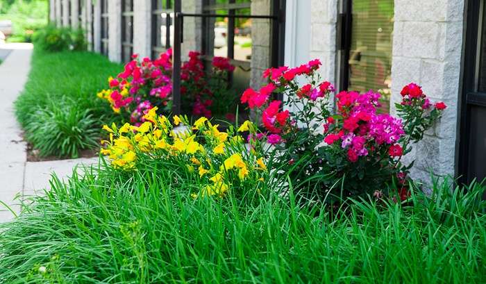 Landscaping Ideas For Office Buildings