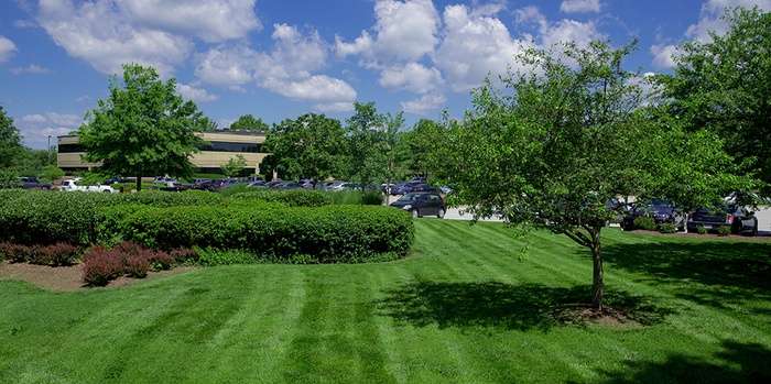 Landscaping Ideas For Office Buildings