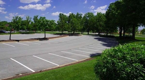 Turf Alternatives For Parking Lot Islands