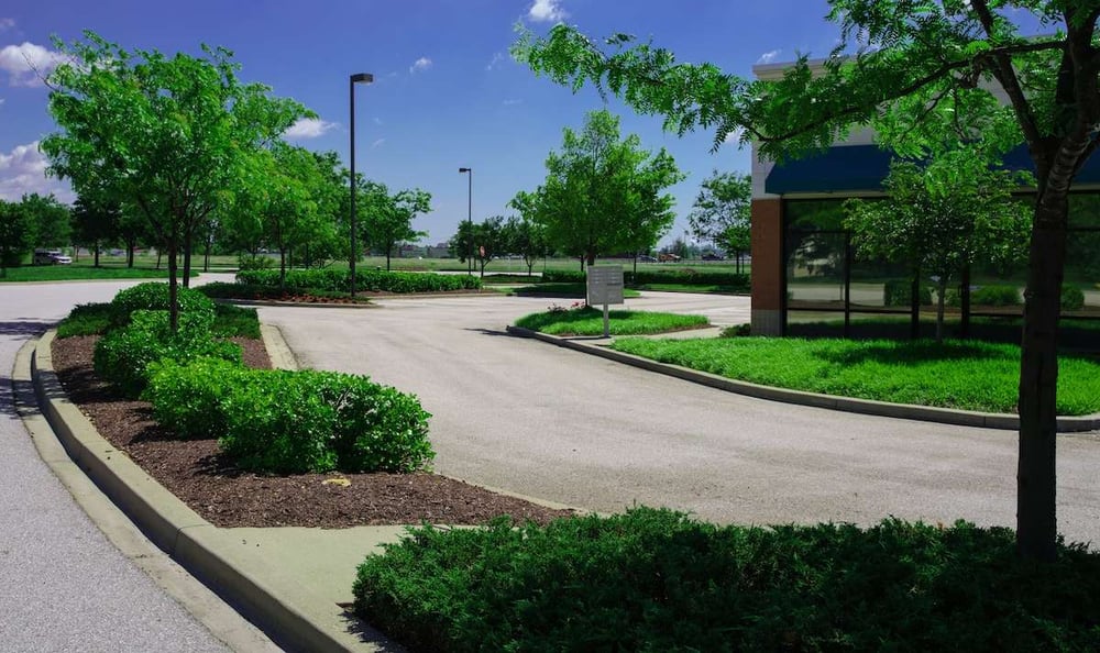 Turf Alternatives For Parking Lot Islands