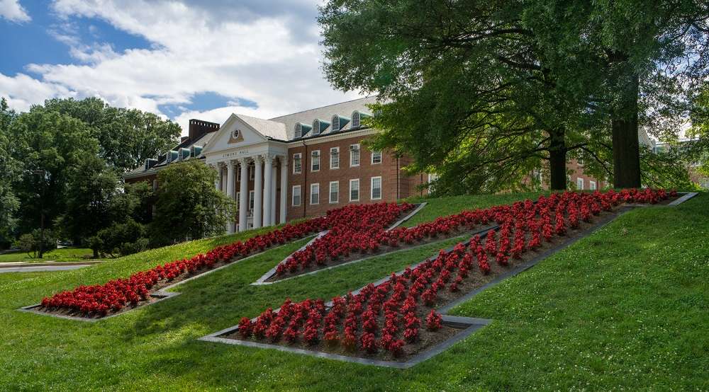 Landscaping for Colleges & Universities: How Landscapes Impact Students ...