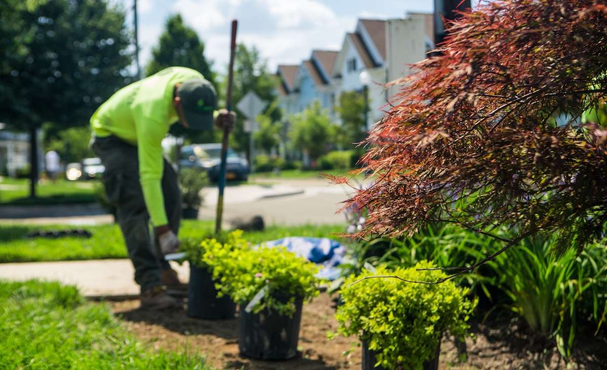 5 Landscaping Policies Every HOA Needs in Their Bylaws