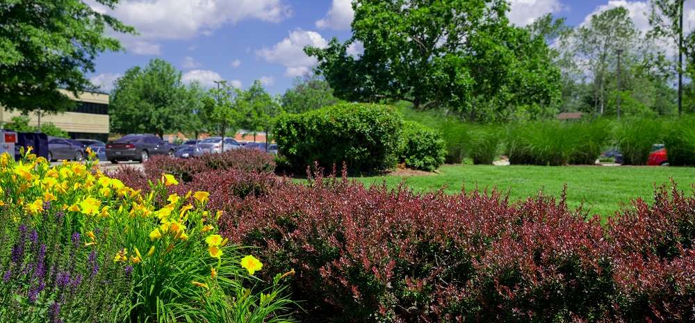Landscaping for Industrial Buildings and Warehouses