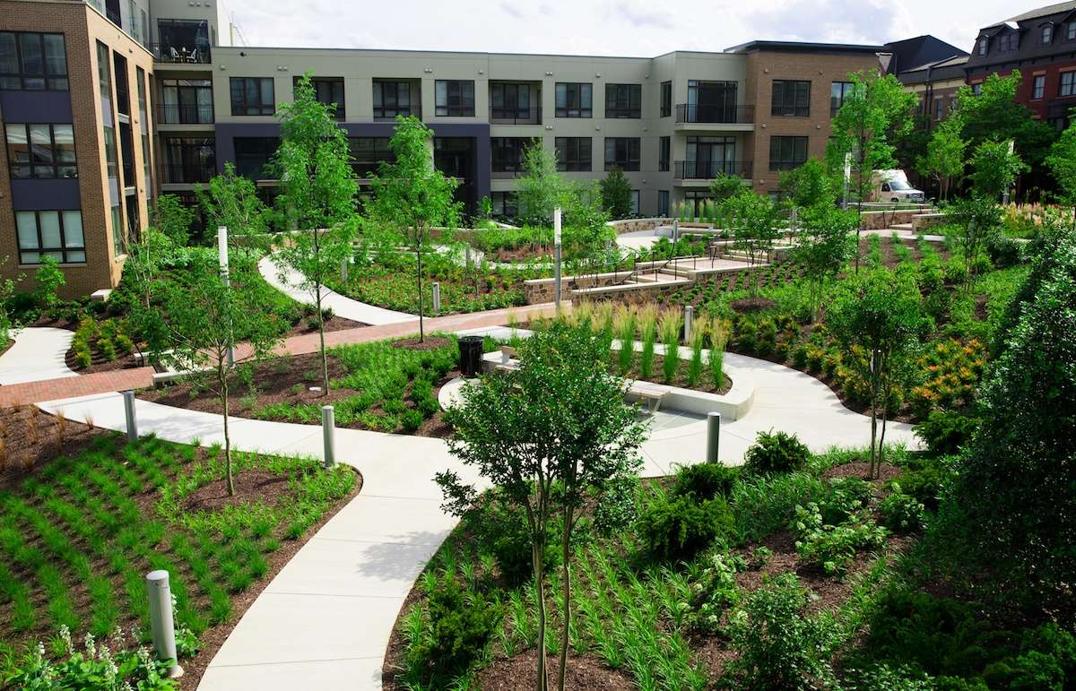 How to Choose a Commercial Landscape Company: 6 Important Tips