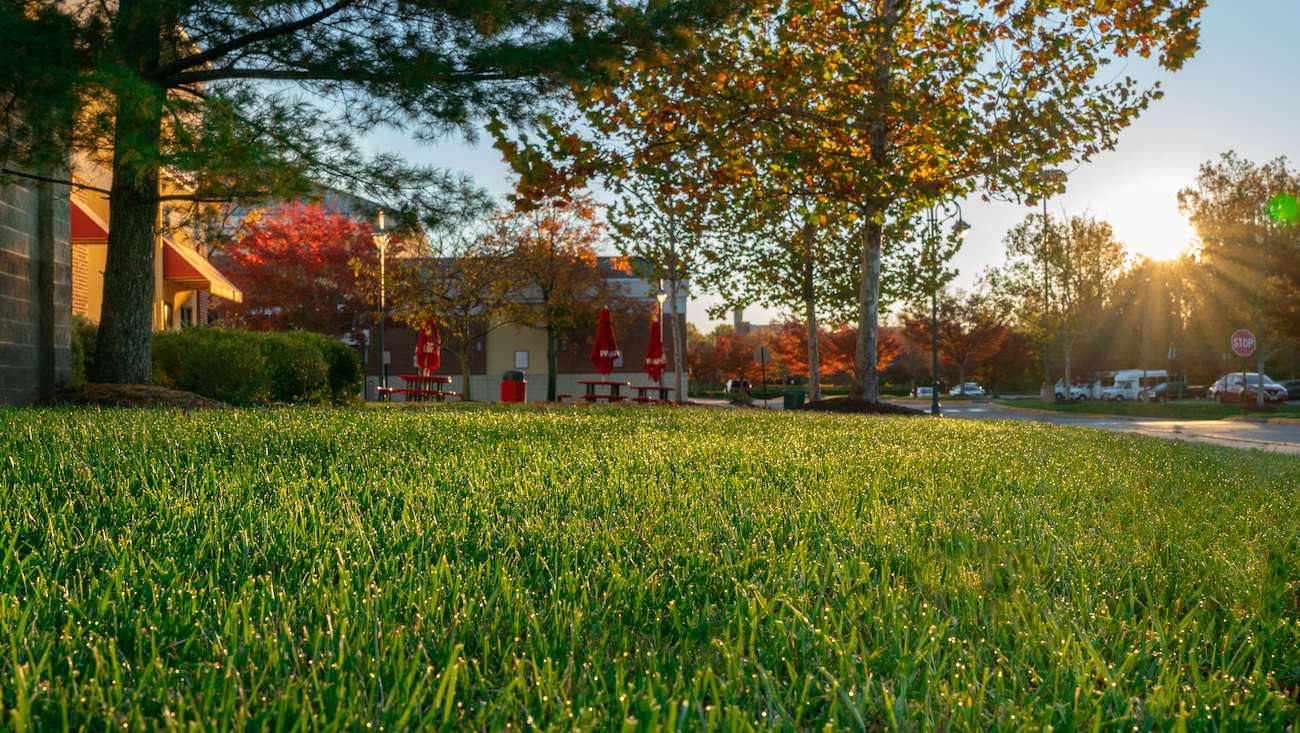 Bowie Town Center
