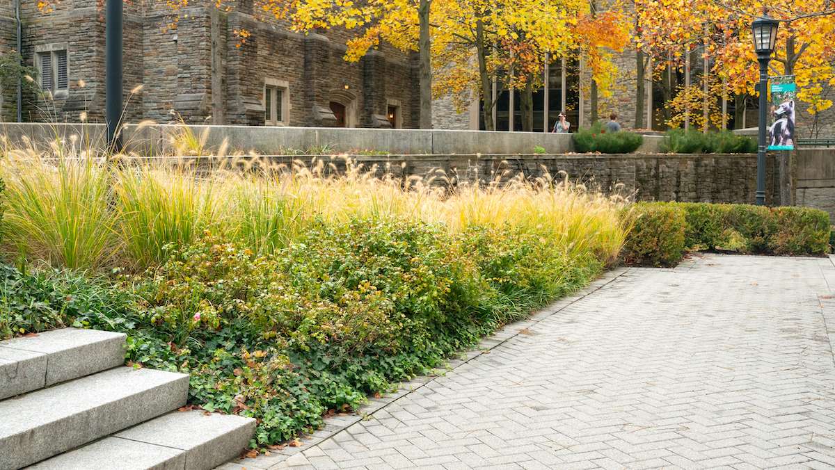How We Help School & College Facility Managers With Grounds Care ...