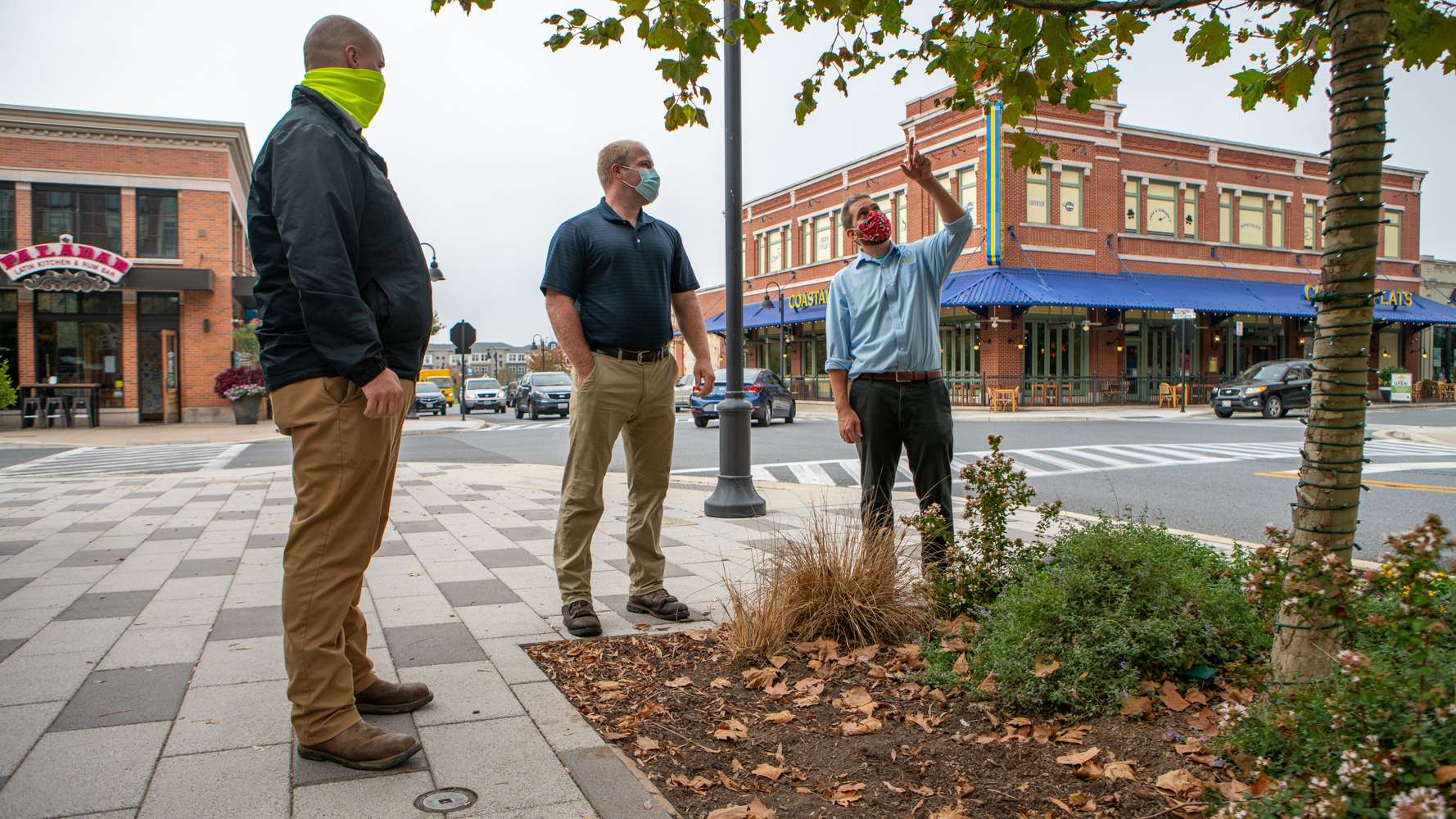 6 Tips for a Productive Commercial Landscaping Consultation