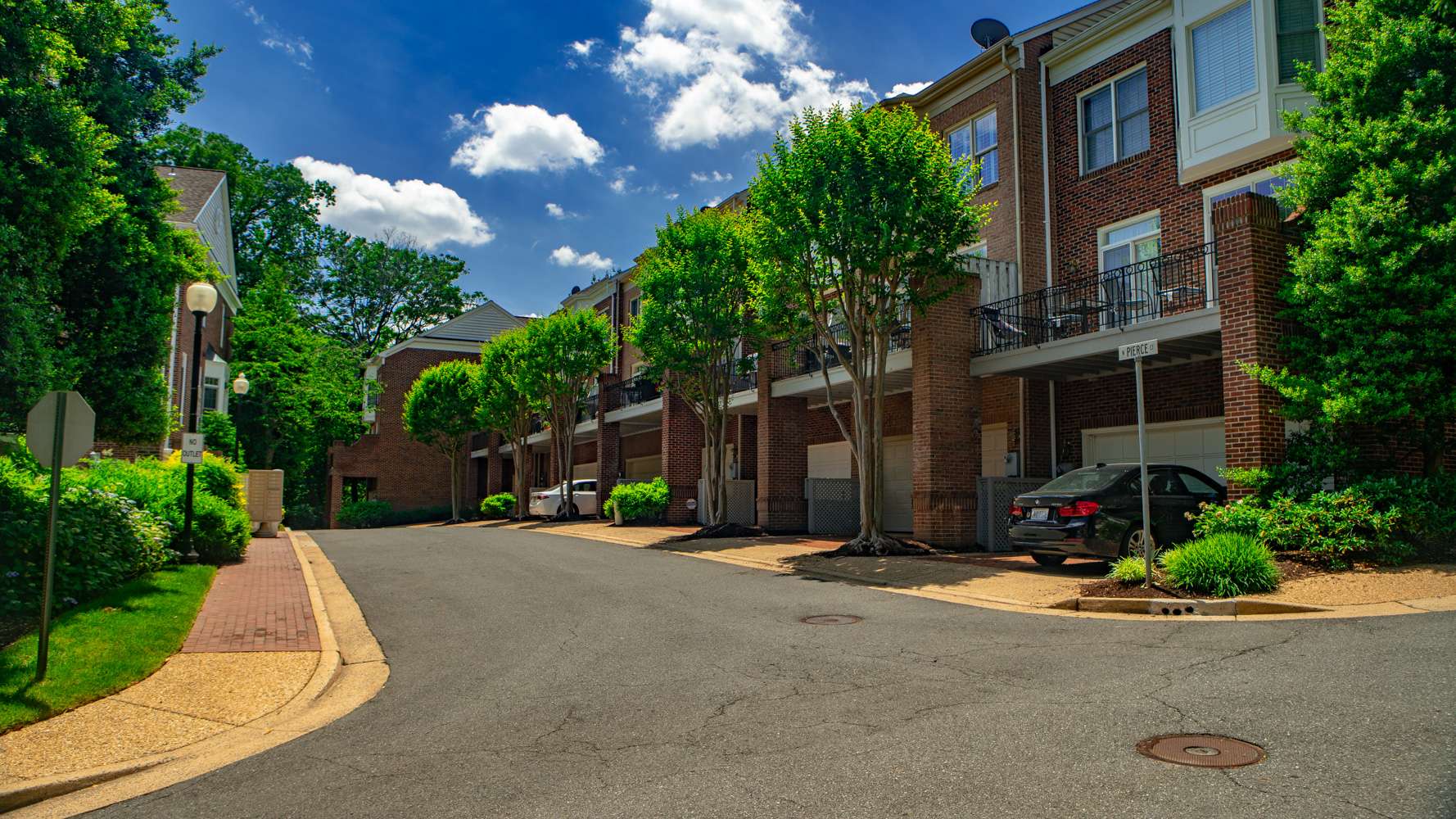 The Best Trees For Parking Lots And Paved Areas