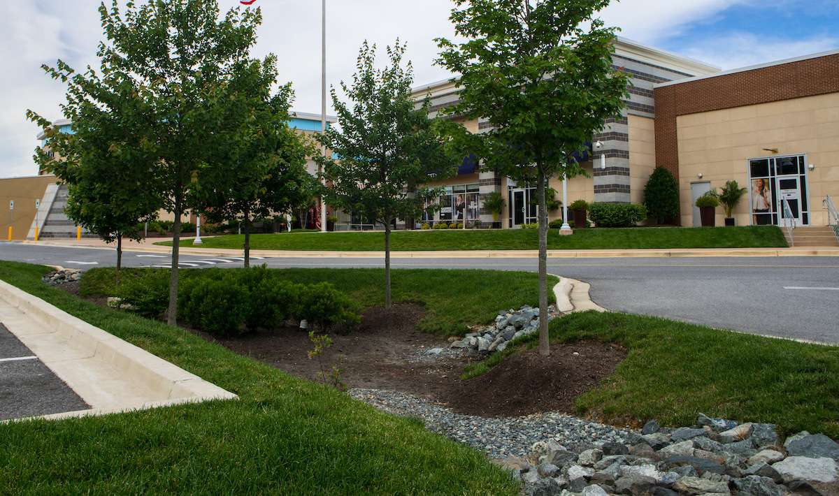 Seasonal Landscaping Strategies for Commercial Properties: A Year-Round ...