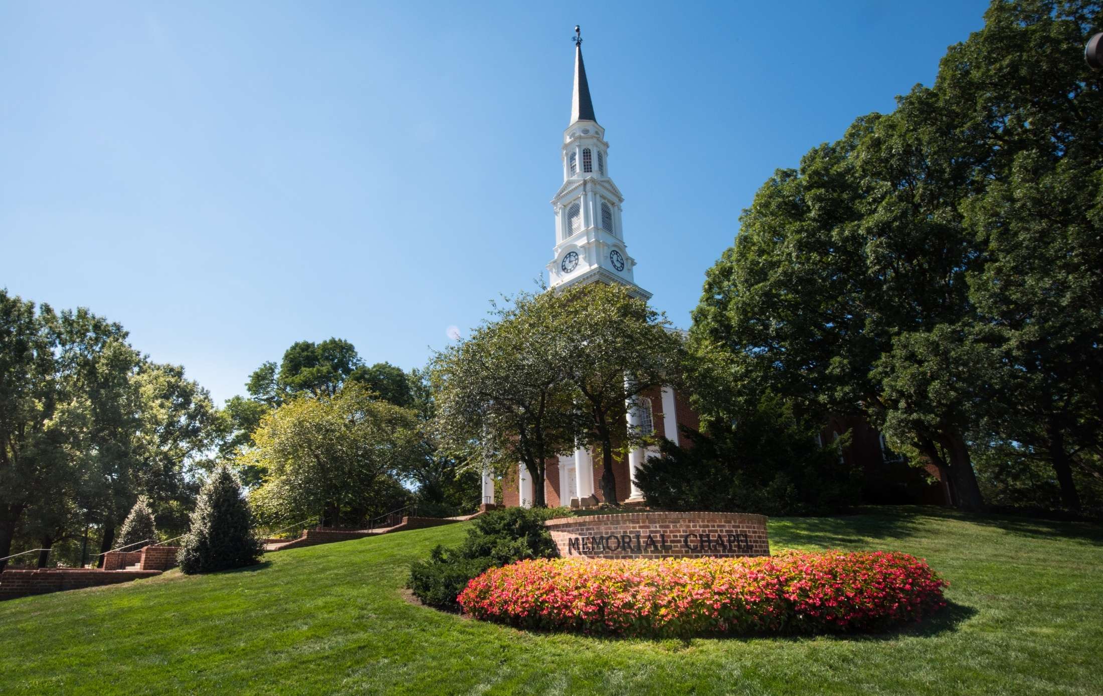 Landscaping Around Signage: 7 Tips To Improve Your Outdoor Signage