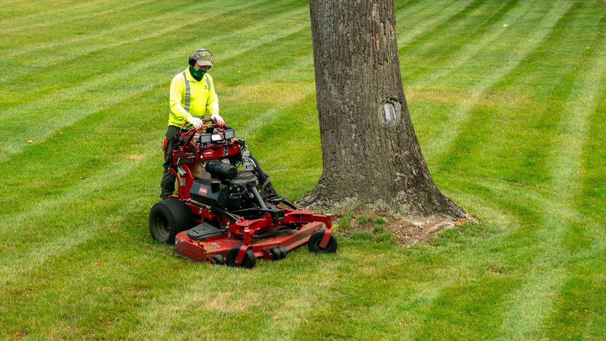 Eco-Friendly Landscaping: Your Path to LEED Certification Success