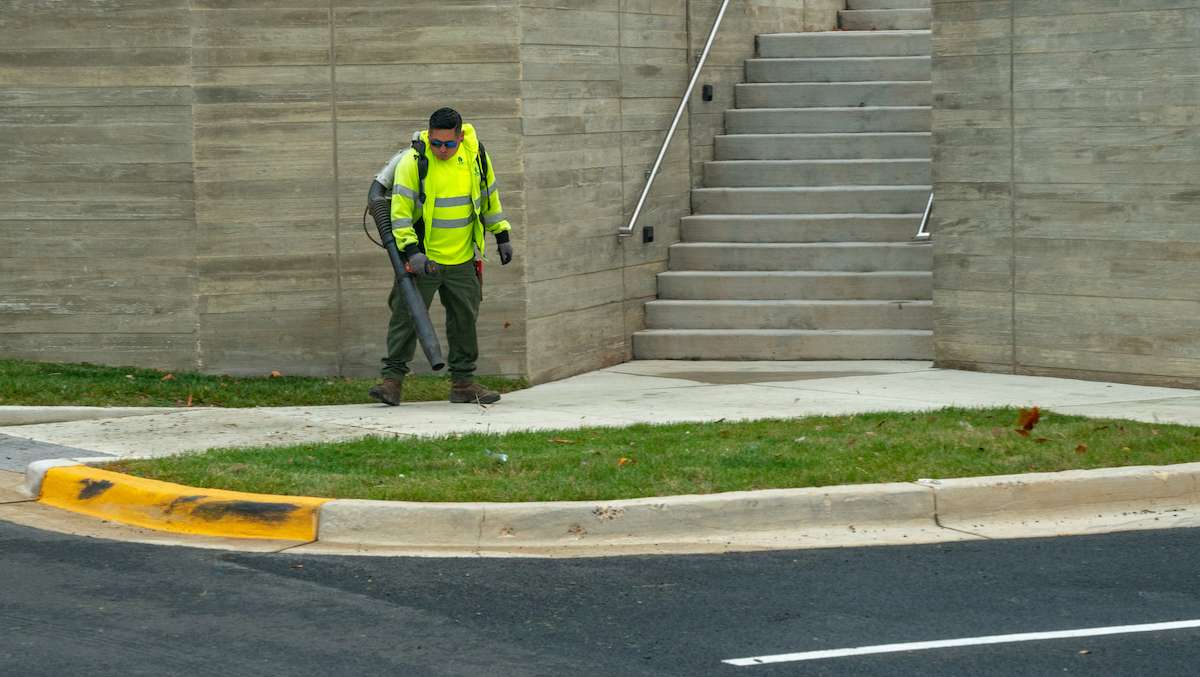 Montgomery County Gas Leaf Blower Ban: What You Need to Know