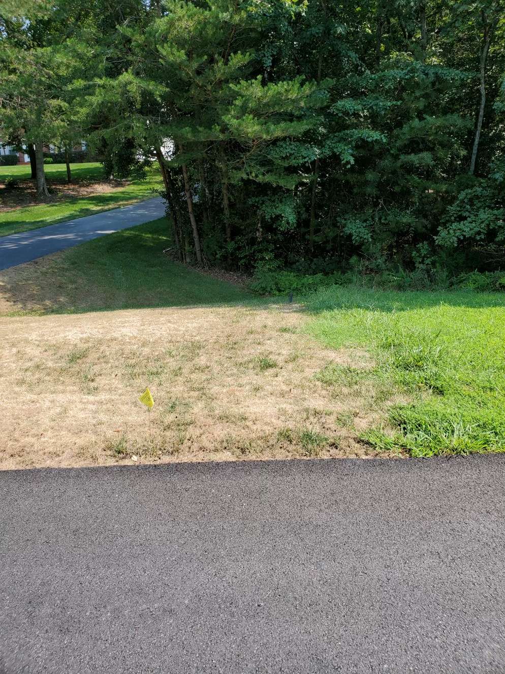 How To Identify Armyworms (And What You Can Do About Them)