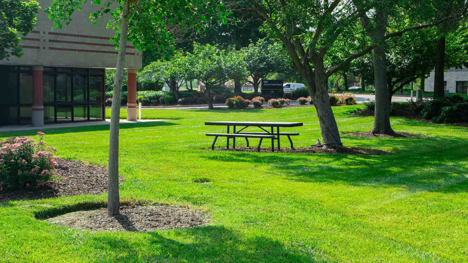 Everything to Know About Commercial Turf Fertilization Programs