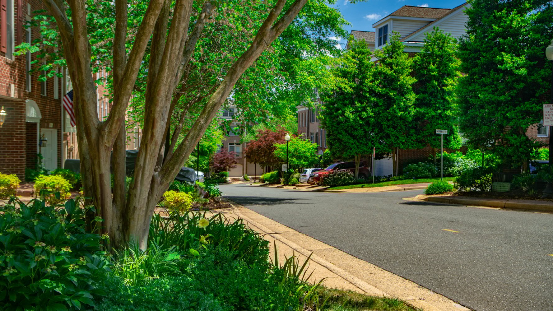 The Essential HOA Landscape Maintenance Guide for Board Members