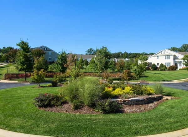 The Essential HOA Landscape Maintenance Guide for Board Members
