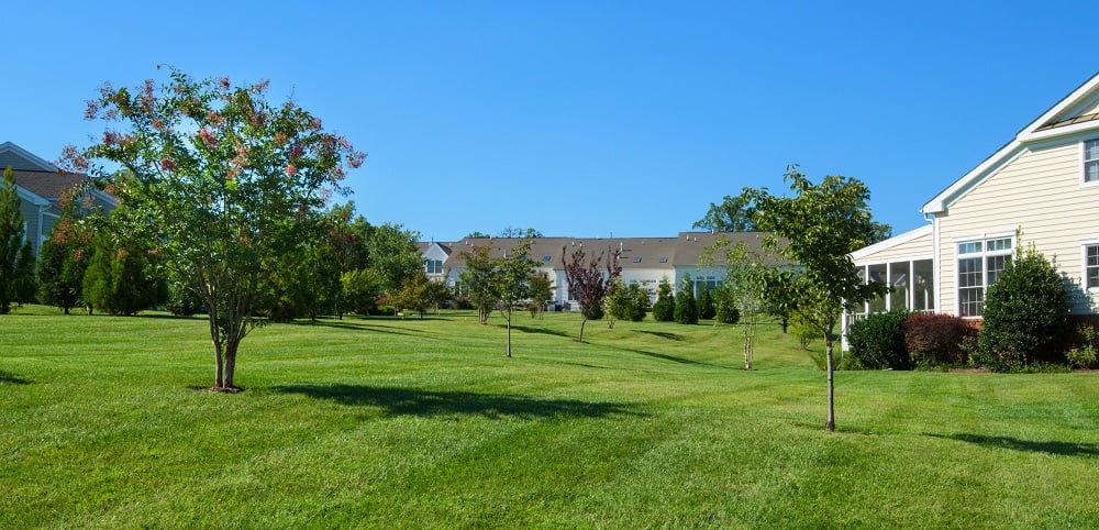 The Essential HOA Landscape Maintenance Guide for Board Members