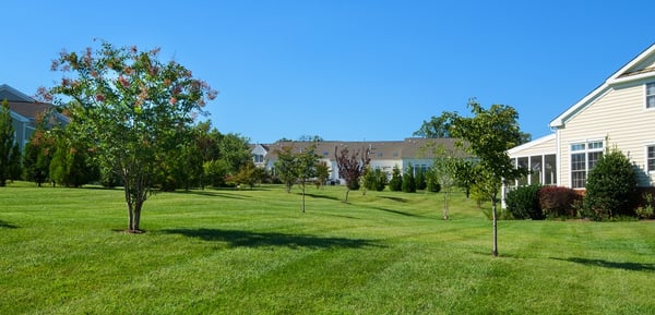 The Essential HOA Landscape Maintenance Guide for Board Members