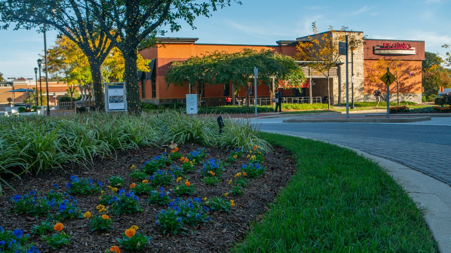 Revitalizing Retail Spaces: Landscaping Ideas to Attract More Customers