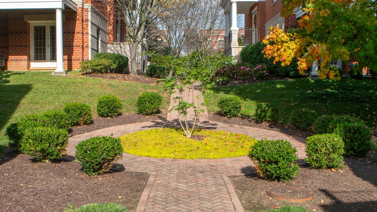 Maximize the Lifespan of Your Shrubs: Advice for Commercial Properties