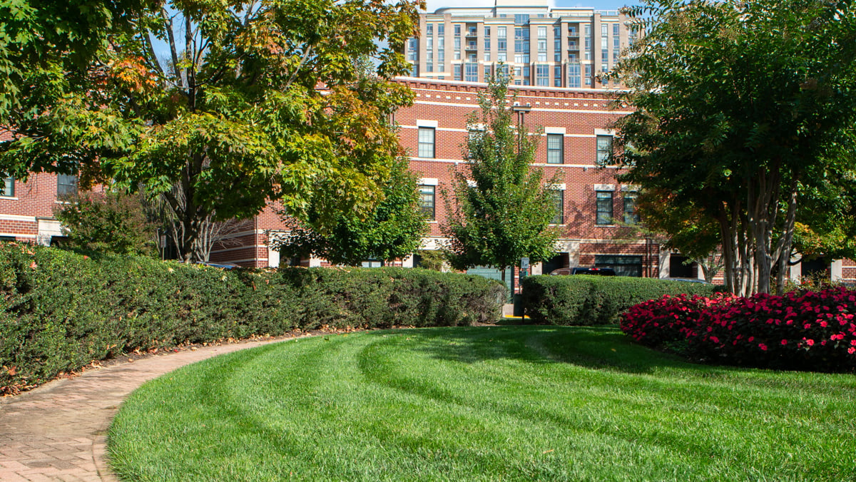 The Ultimate Guide to Lawn Maintenance for Commercial Properties