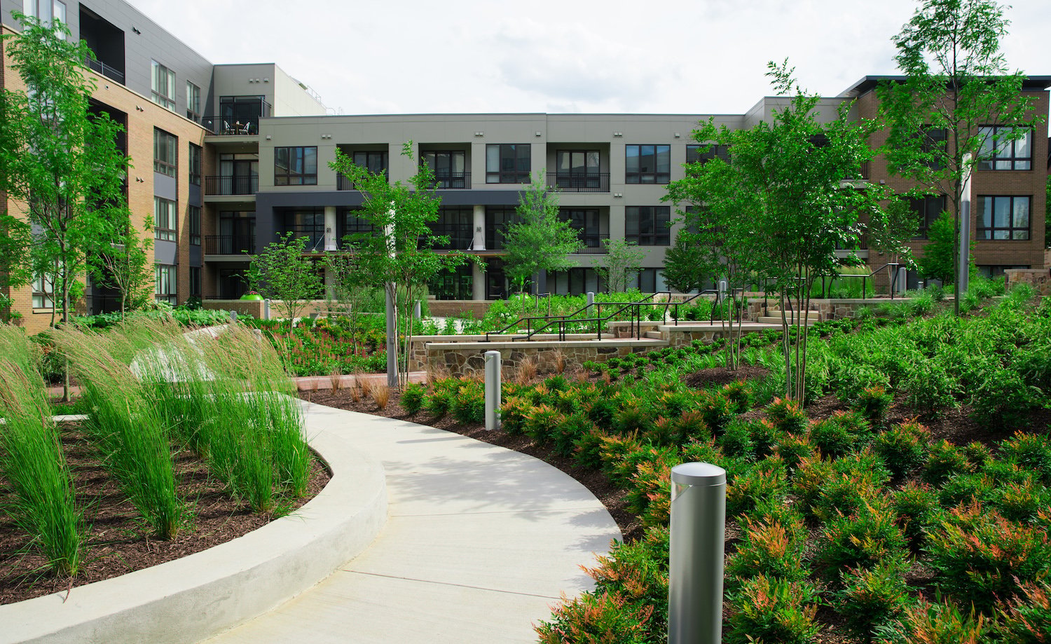 Eco-Friendly Landscaping: Your Path to LEED Certification Success