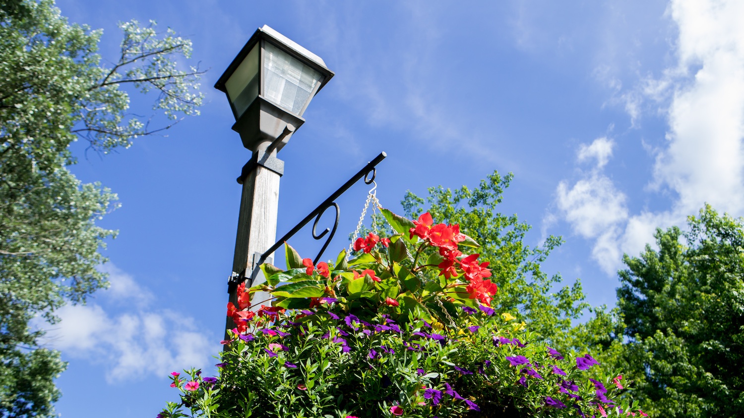Landscaping Around Signage: 7 Tips To Improve Your Outdoor Signage