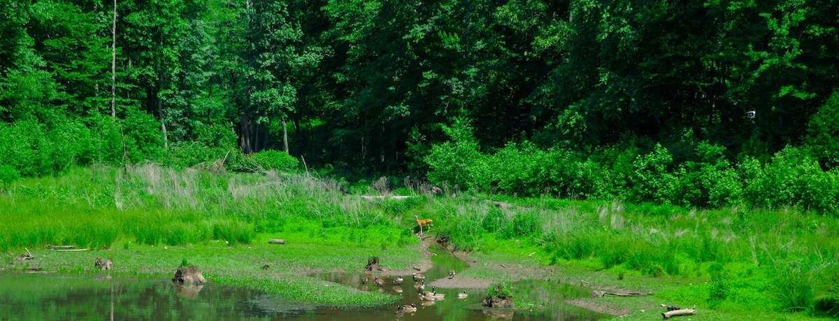 What is LEED Certification — And How Can Your Landscape Service ...