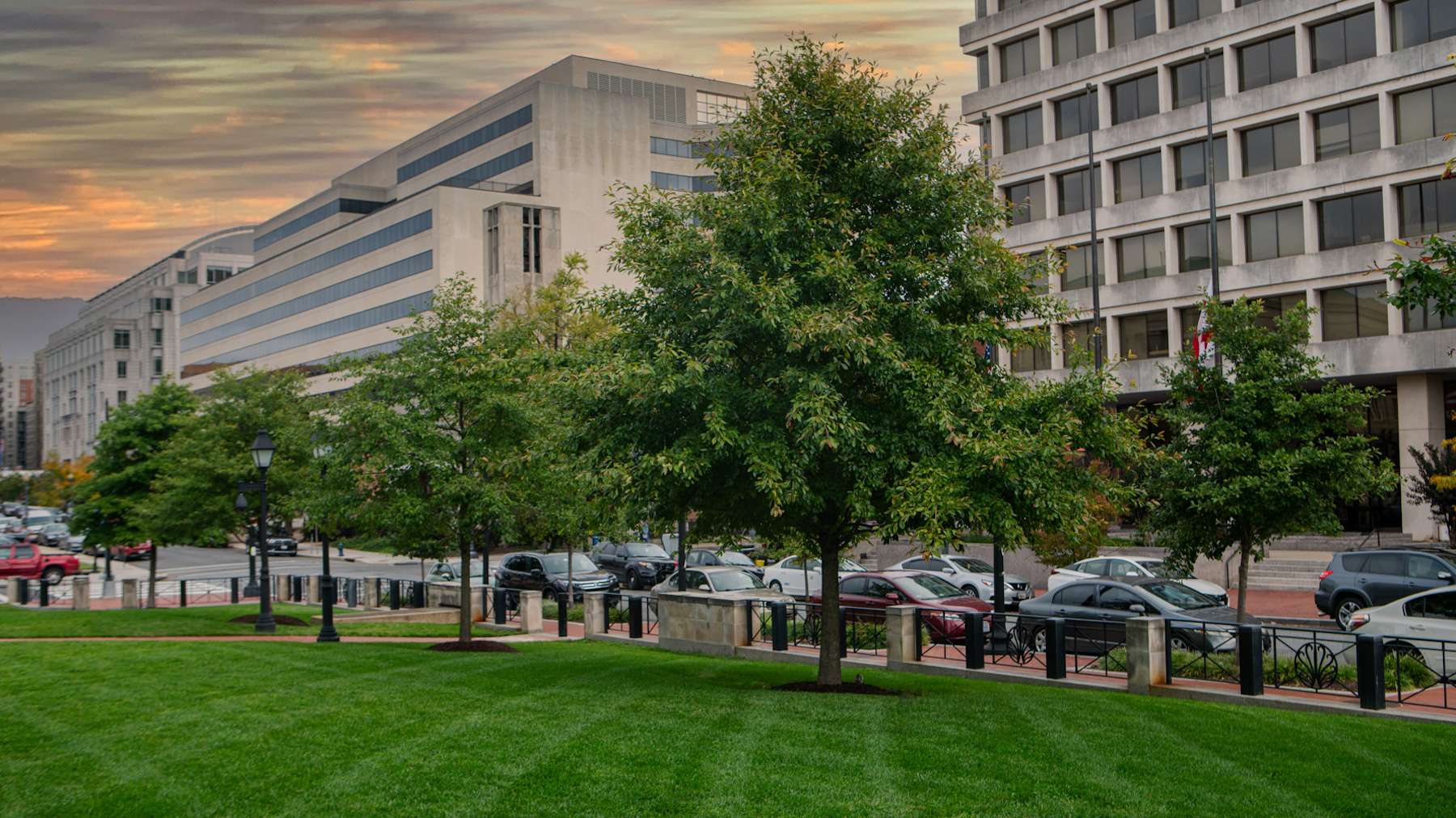 Expert Commercial Landscaping in Washington DC | Level Green