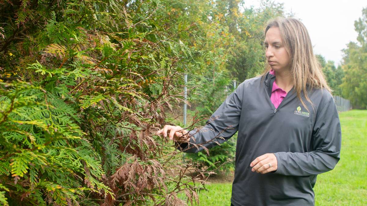 Stories of Career Growth: Level Green Offers Team Members a Chance to Soar